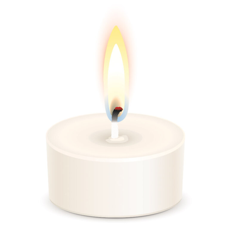 Joyce M. Nussbaum - Branch Funeral Homes